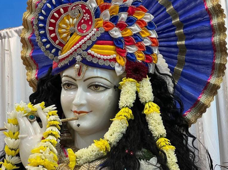 Shree Sanatan Dharm – Sabha NSW Inc – Initiative